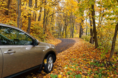 How To Protect Your Car During Autumn