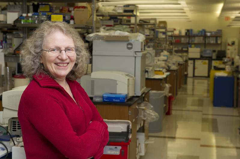 Blood markers identify lupus risk, Feinstein Institute researchers find