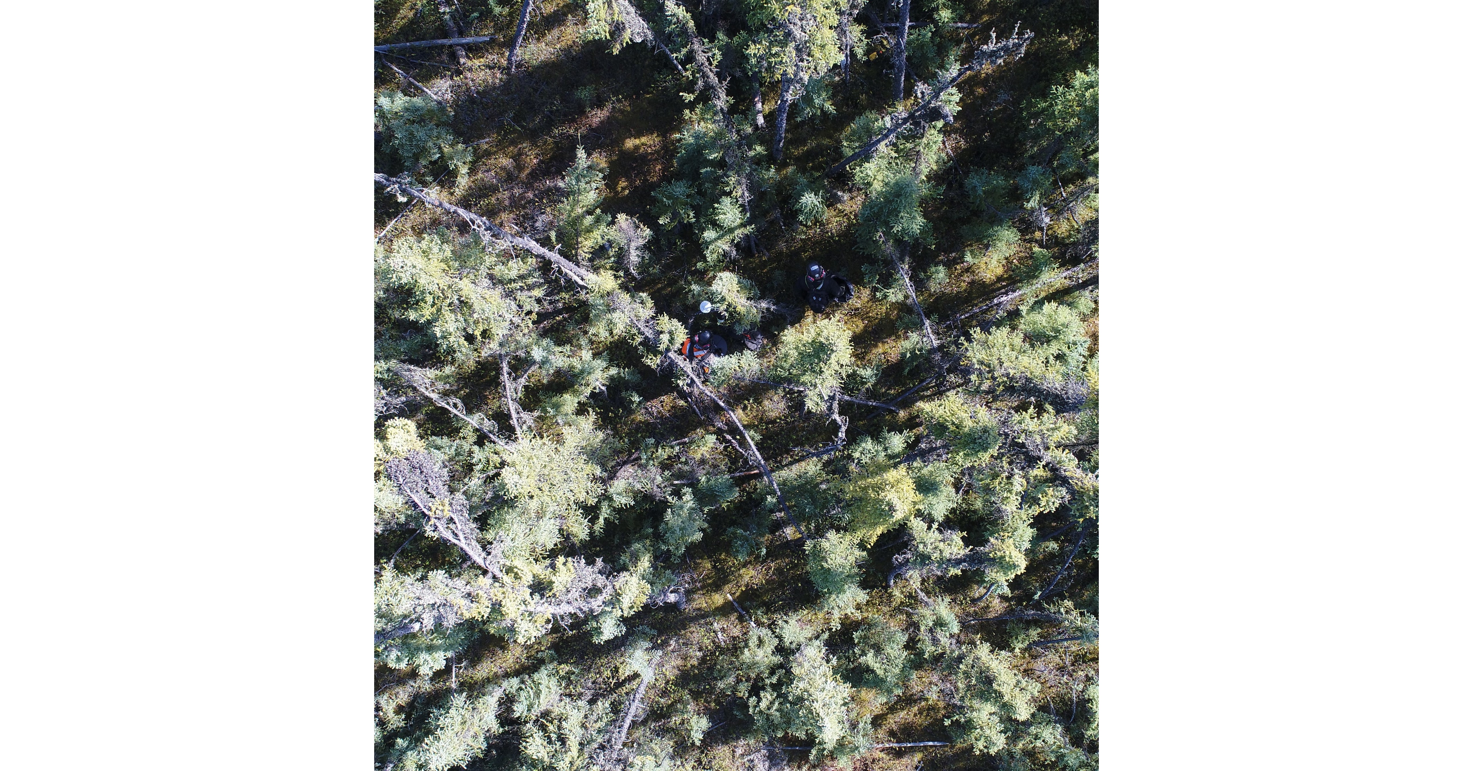 Explor Eliminates Seismic Lines In The Oil Sands Sets New Seismic