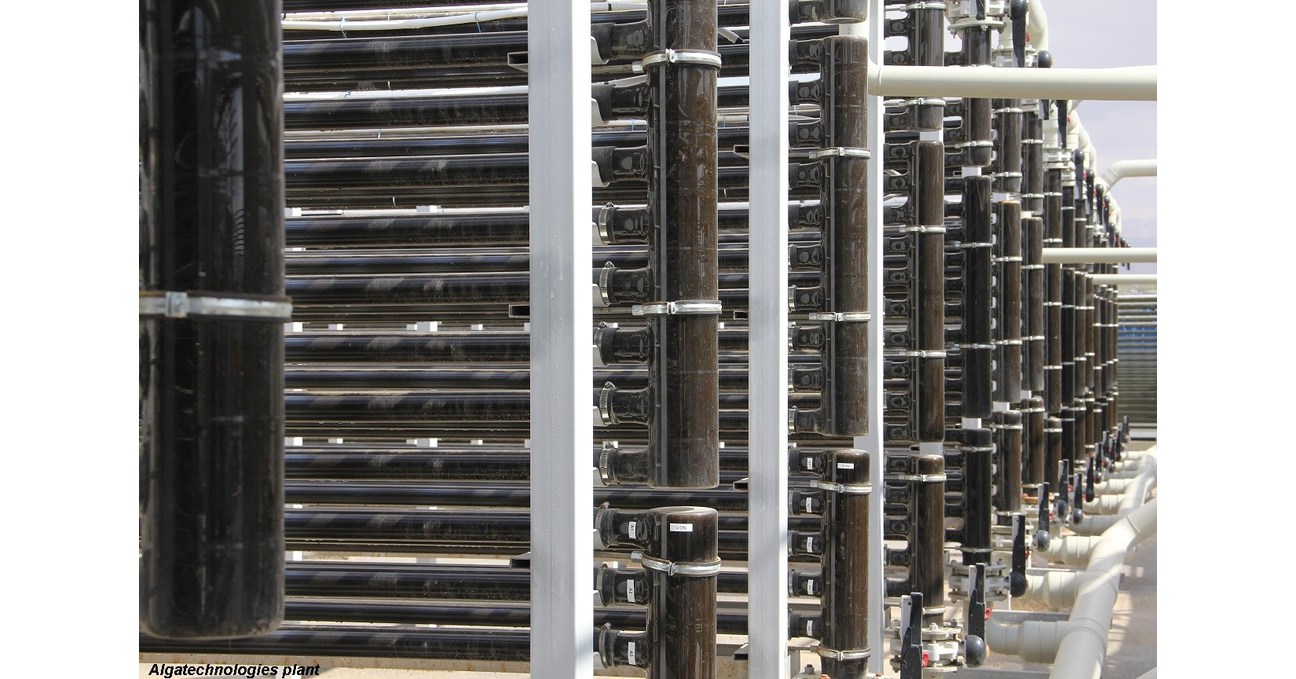 Algatech Launches Fucovital®, a Fucoxanthin from Microalgae