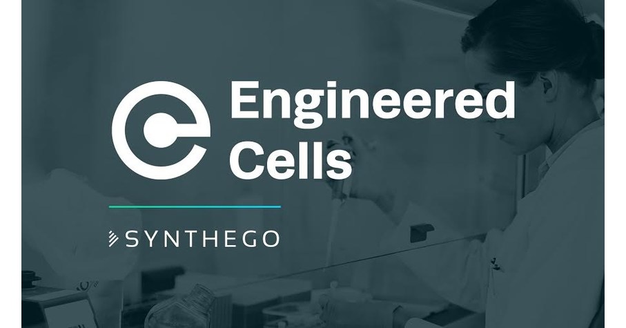Synthego Launches Engineered Cells Product Portfolio as Next Step in ...