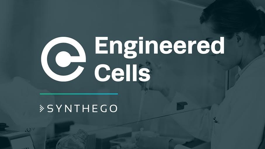 Synthego Launches Engineered Cells Product Portfolio as Next Step in ...