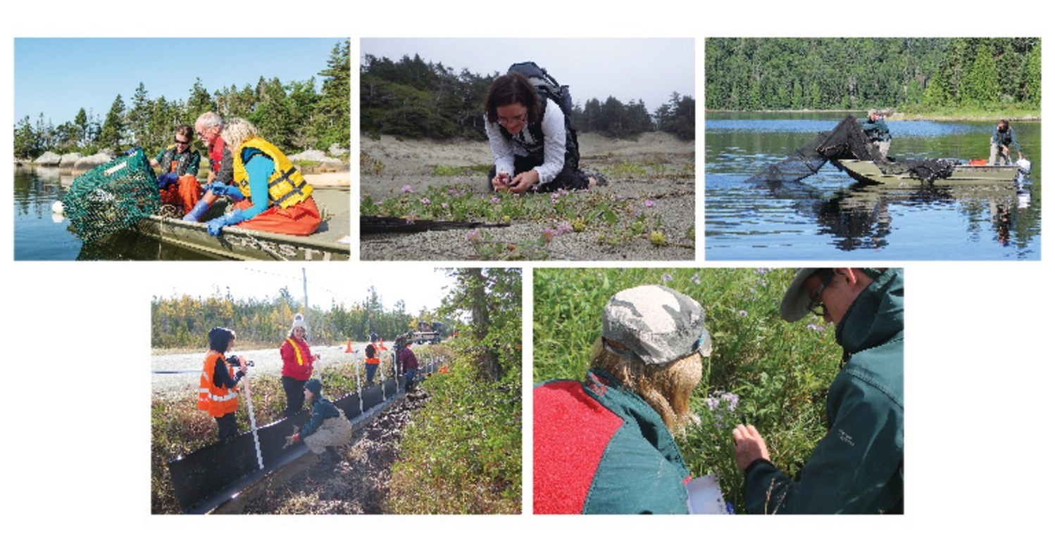 Parks Canada's conservation and restoration projects protect nature and ...