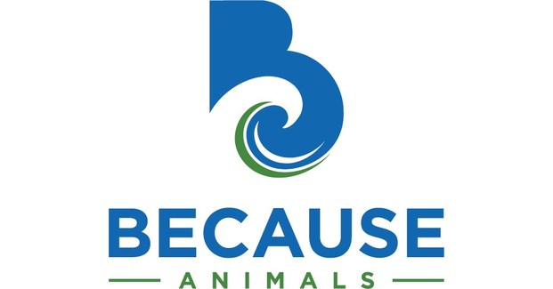 The Future of Pet Food is Here