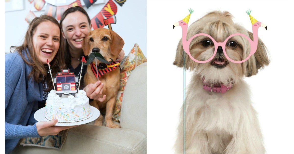 Displaying love for your pets, via an Instagram-worthy pet birthday party