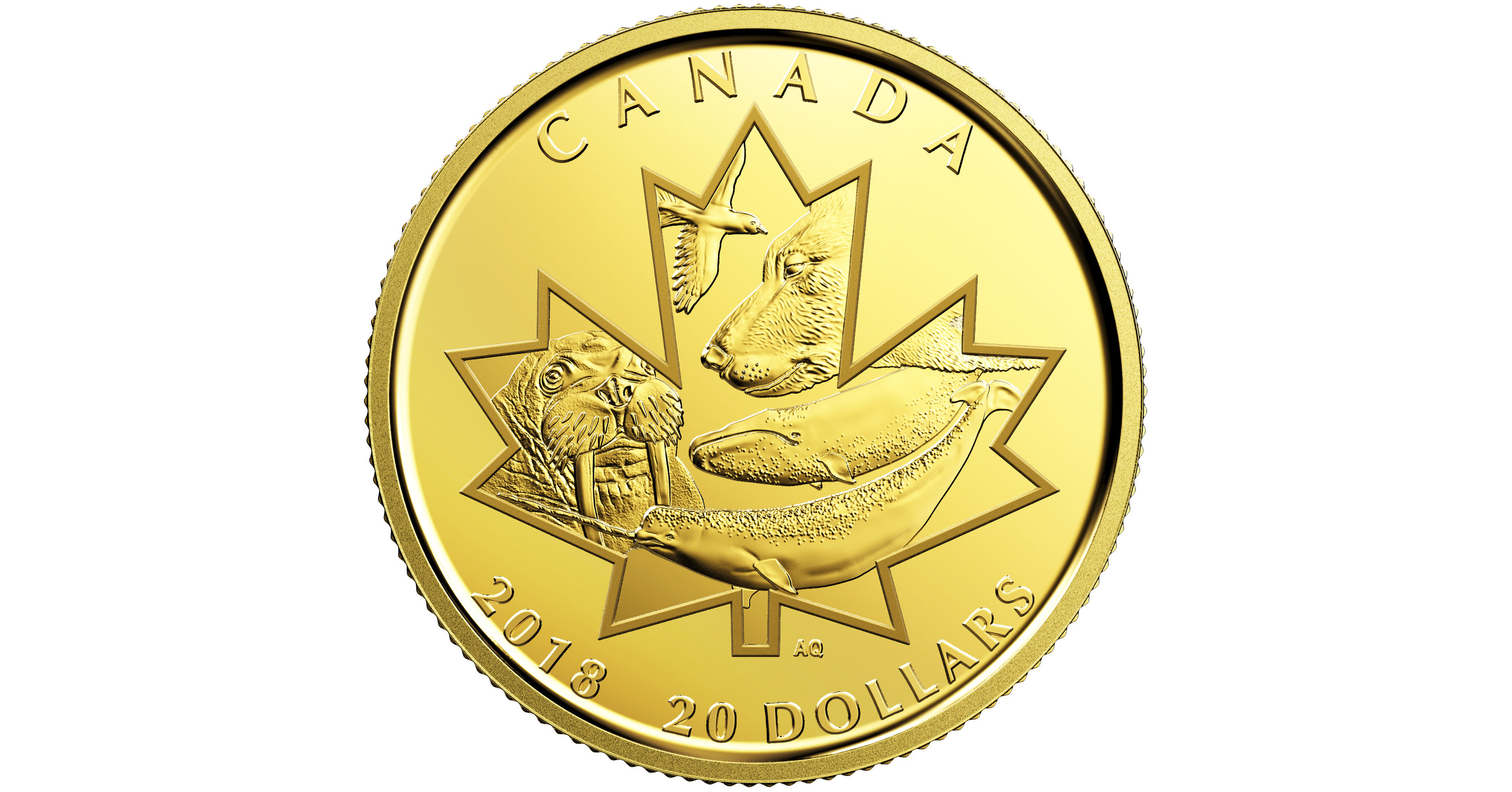 Royal Canadian Mint issues first coin minted of pure Nunavut gold