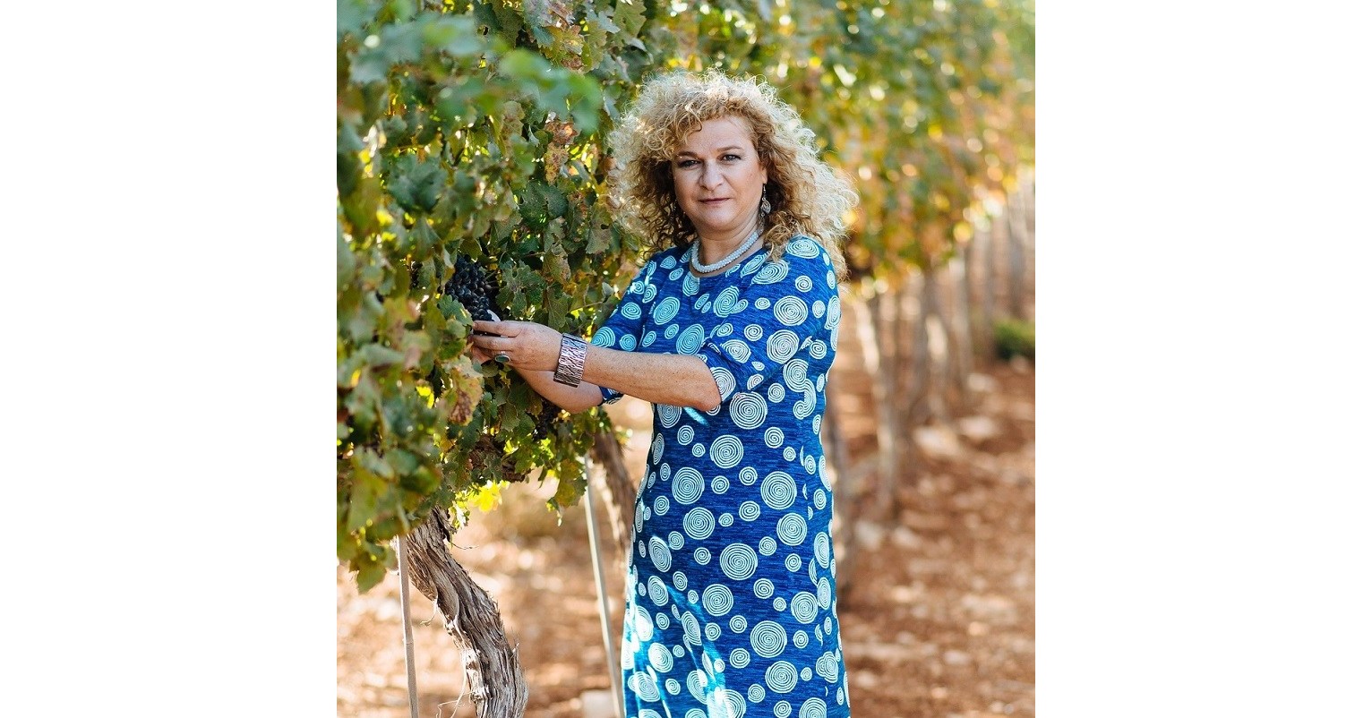 Climate, Sustainability, and Upcycling Drive O.Vine Launch