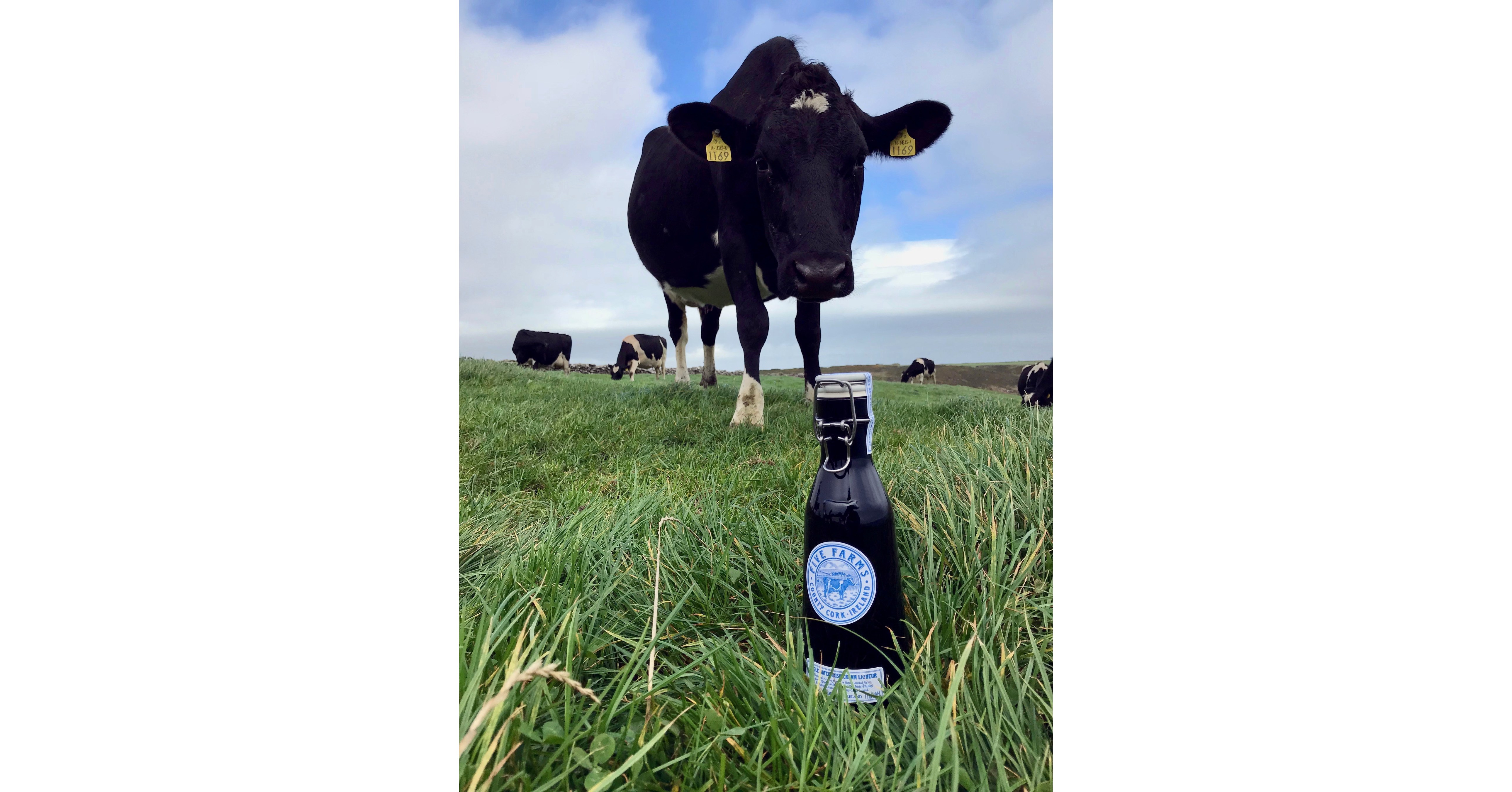 Five Farms Irish Cream Expands Into New Markets