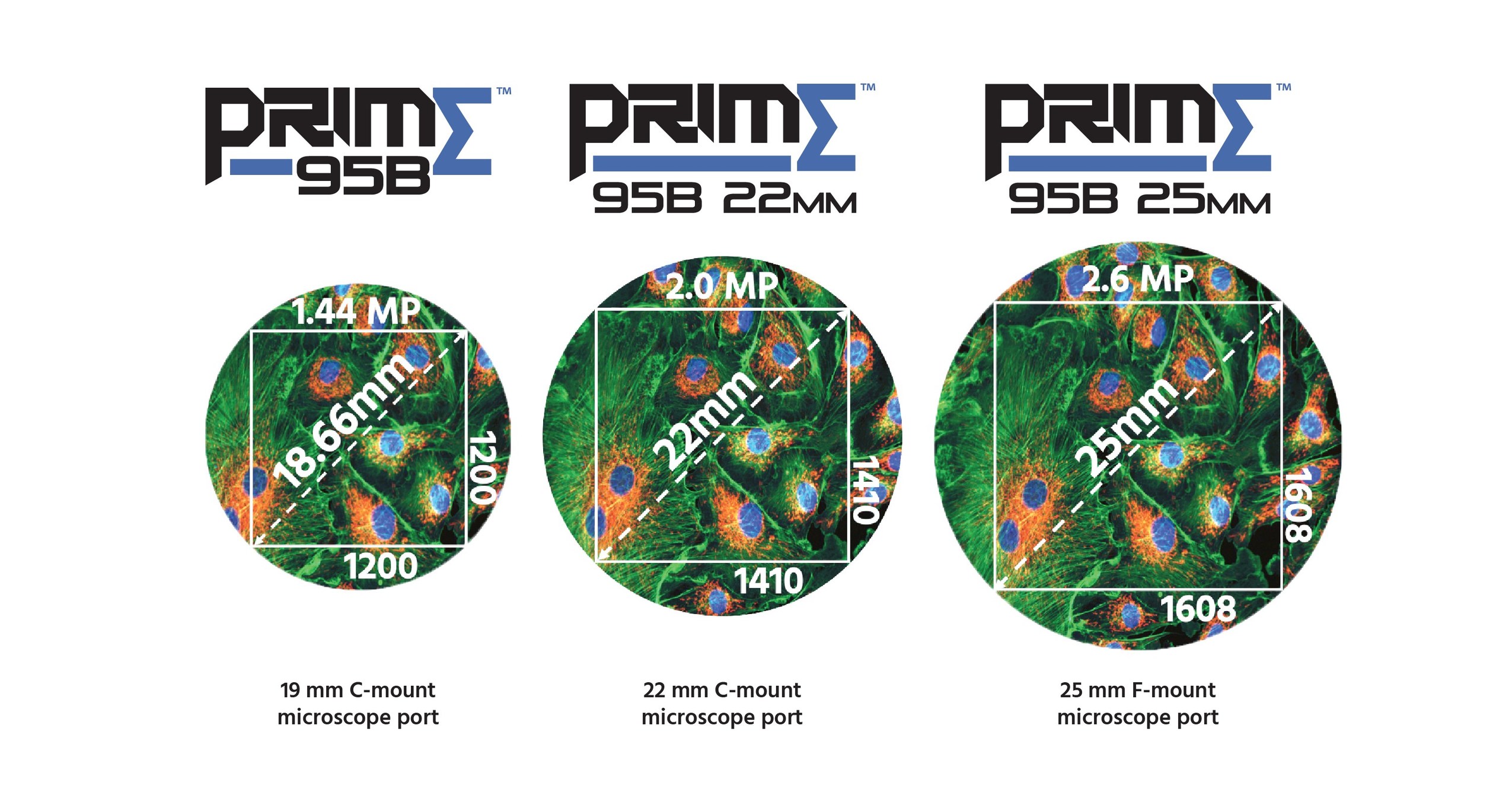 Photometrics® Announces New Prime 95B™ Scientific CMOS Camera Series