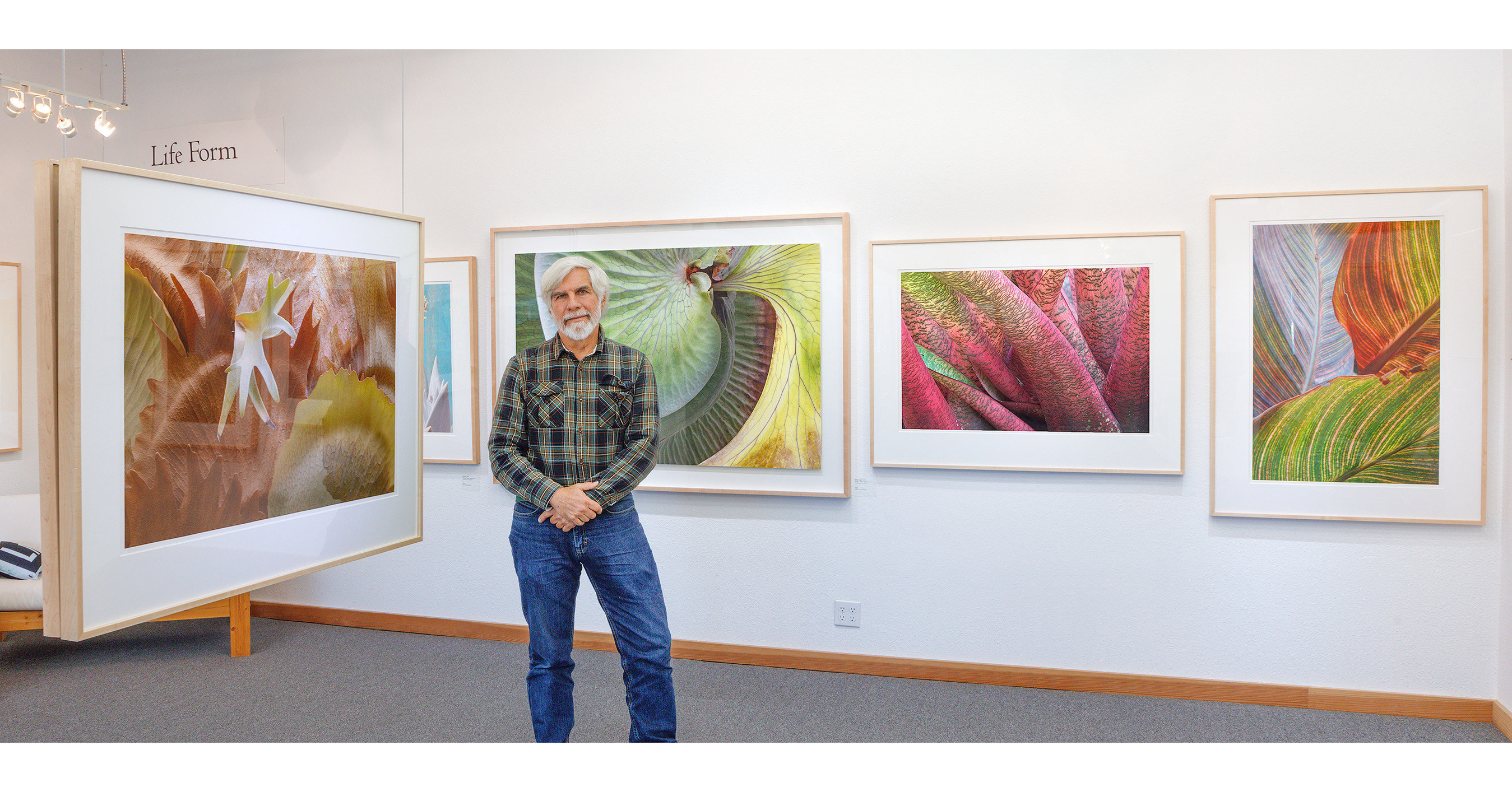 Digital Photography Pioneer Stephen Johnson's Work on Display at The ...