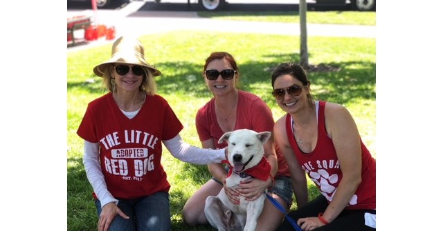 Win $10,000 With The Annual Raffle Benefitting The Little Red Dog, Inc ...