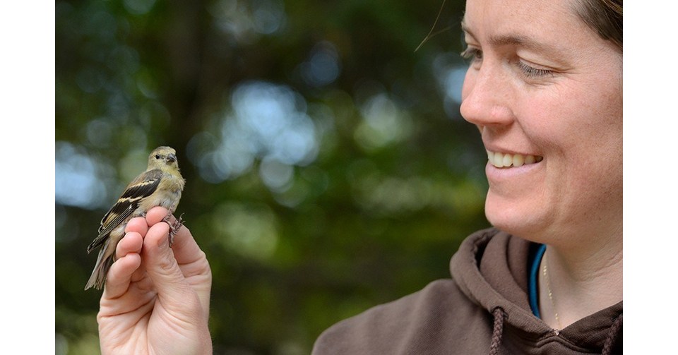 Eastern Michigan University faculty members receive three major science ...