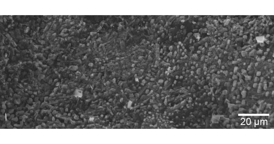 cultivate(MD) Funds Announce Investments Into Happe Spine