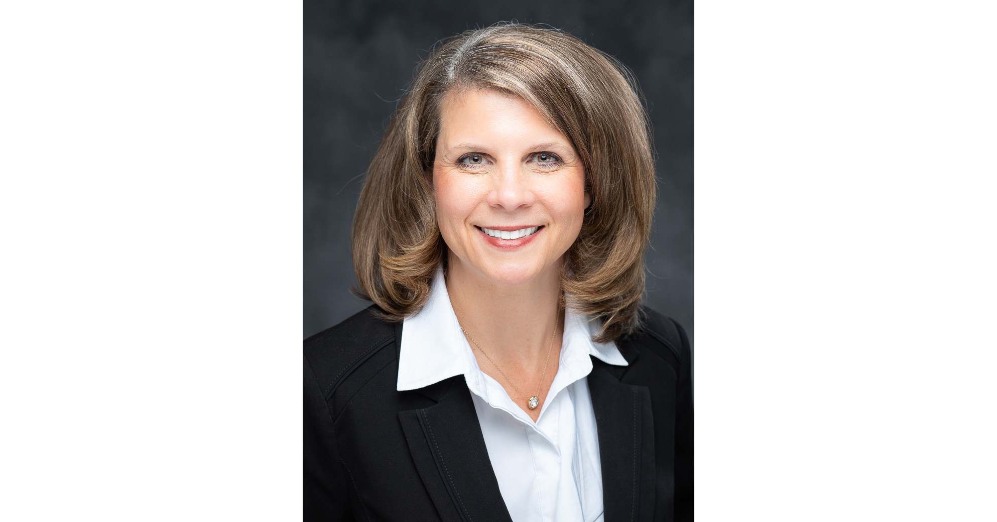 Greg Lapointe Named President of South State Bank