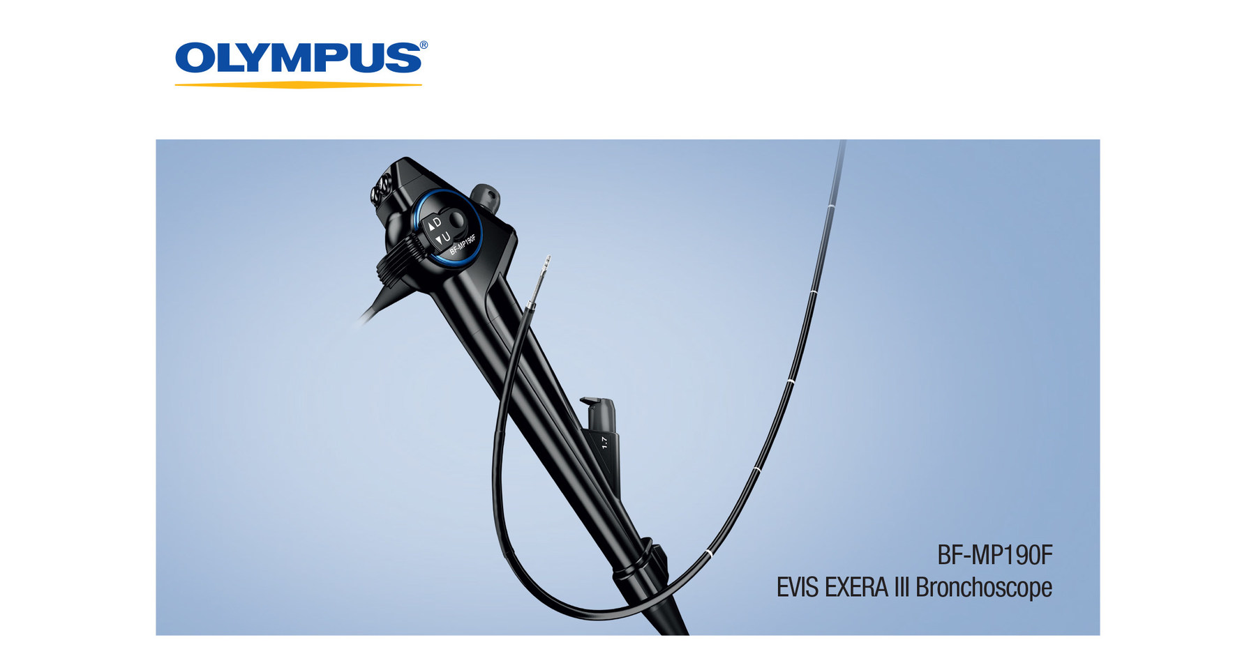 Olympus Bronchoscope Models at Heather Reyes blog