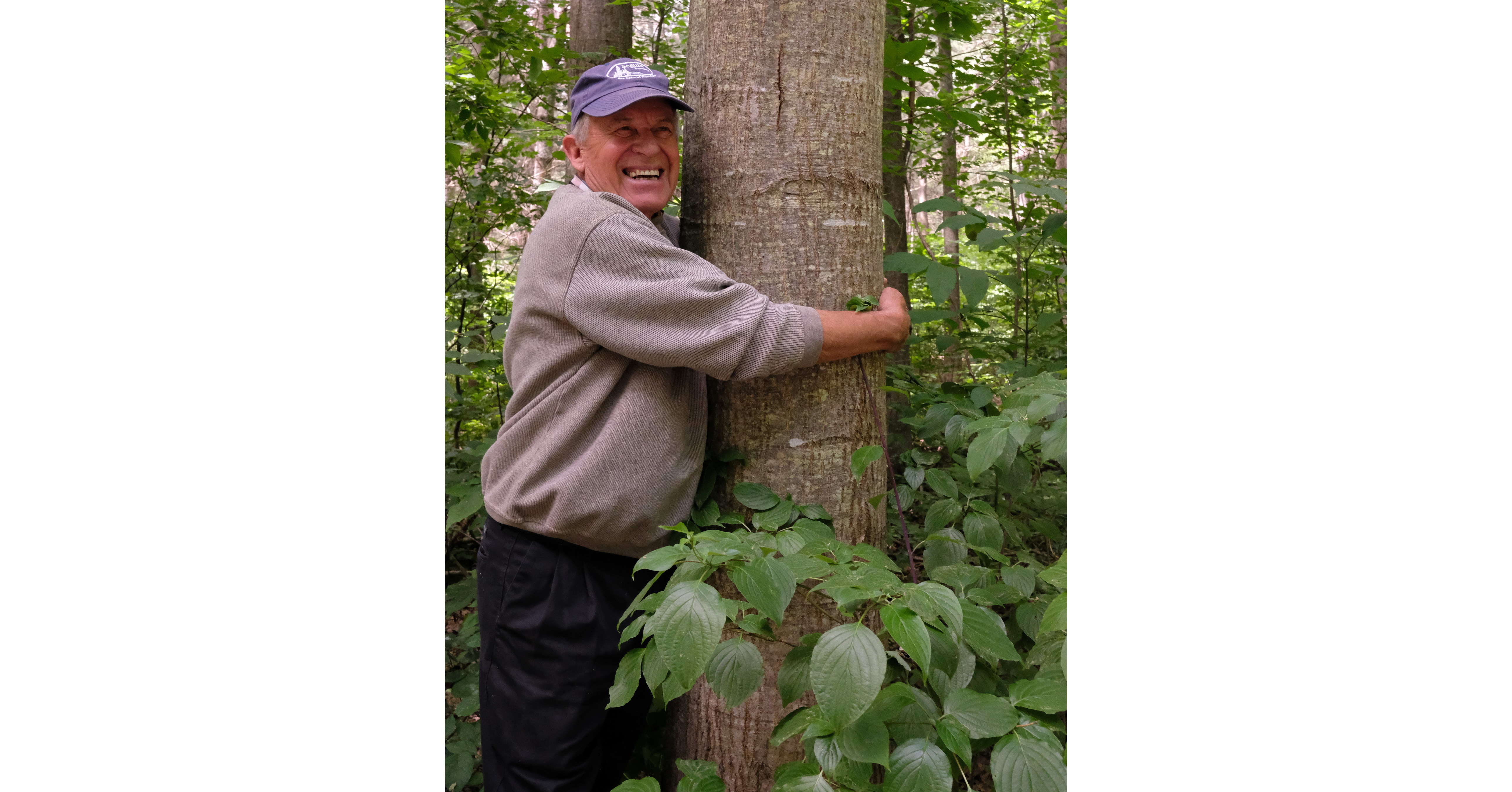 Local Man Honoured for Tree Planting: Ed Barden Announced as Forests ...