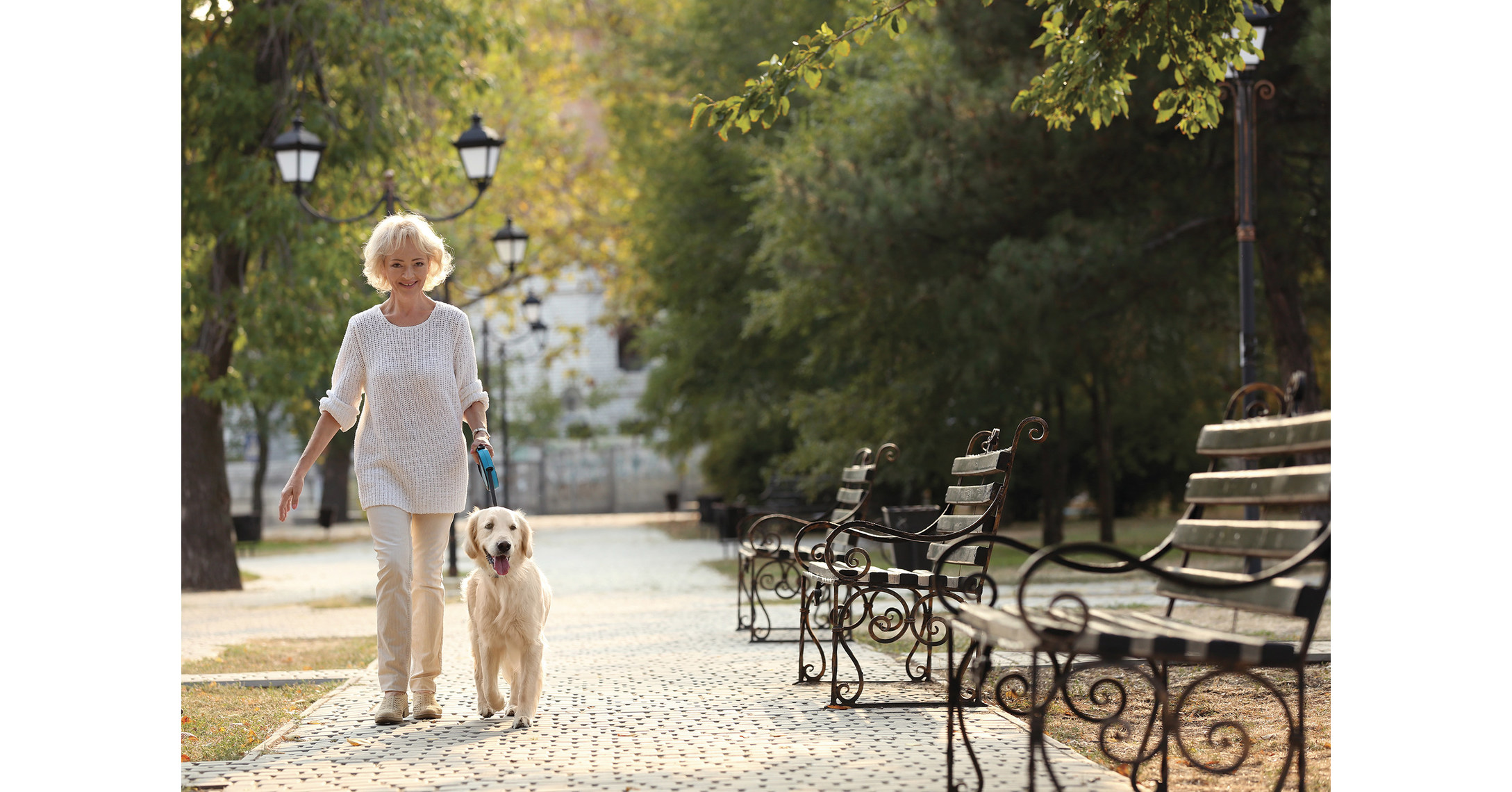 5 Ways Dogs Can Improve Lives