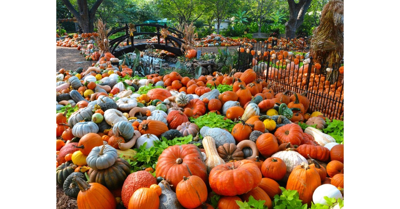 Autumn at the Arboretum Fall Festival Features "The Adventures in ...