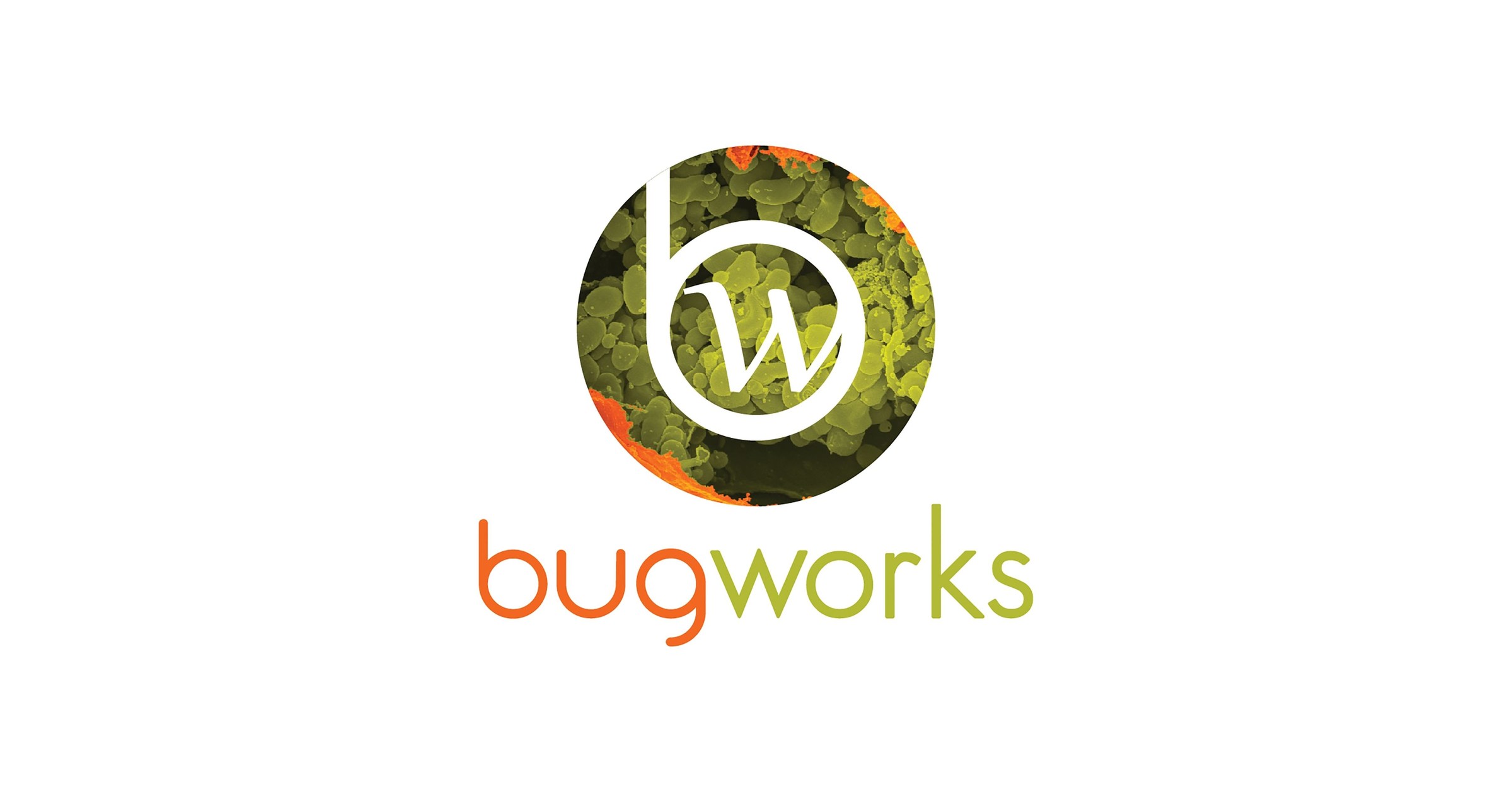 Bugworks Research Inc Raises $9M Series-A Financing to Develop Novel ...