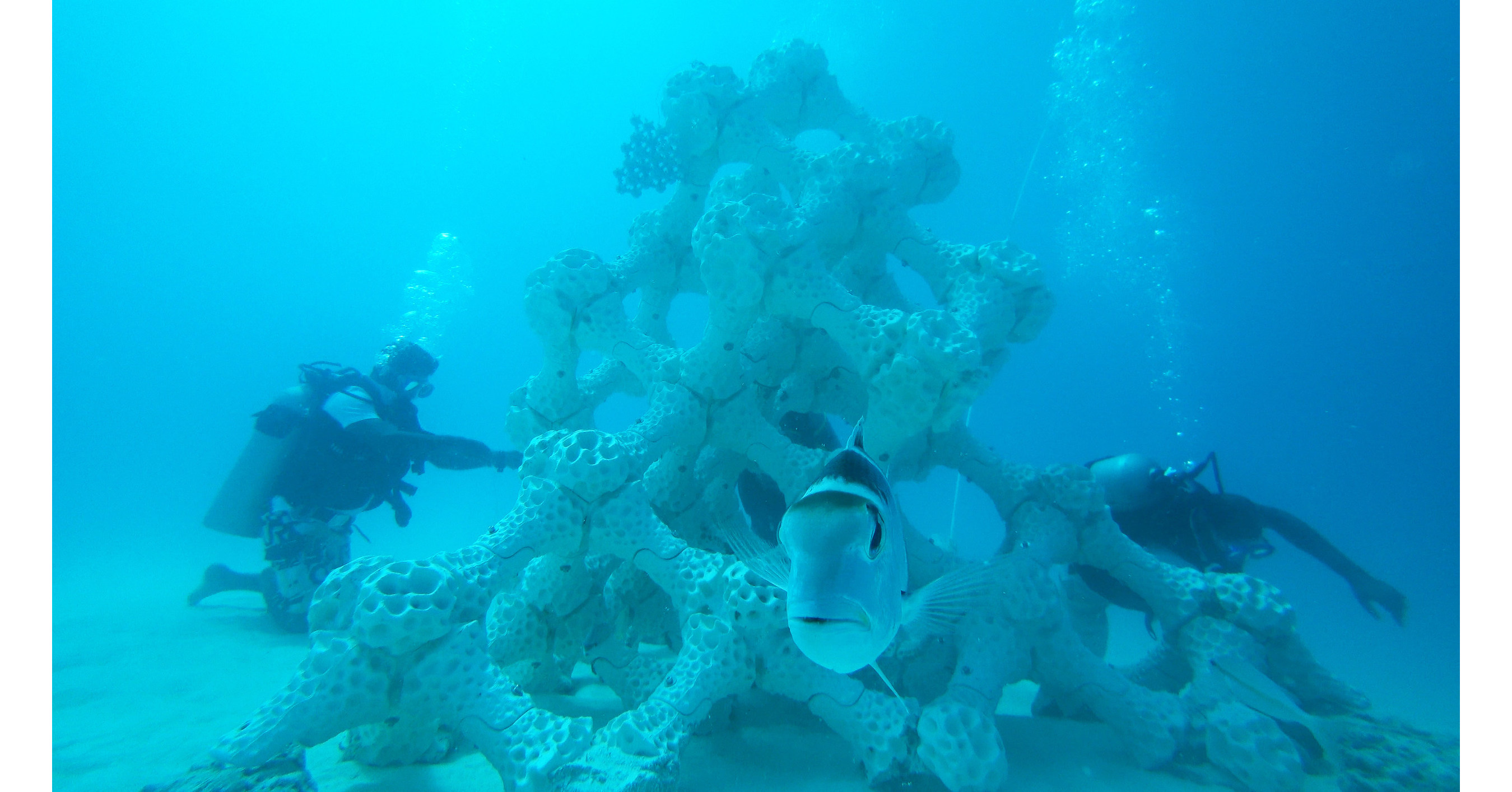 World's Largest 3-D Printed Reef Installed at Summer Island Maldives