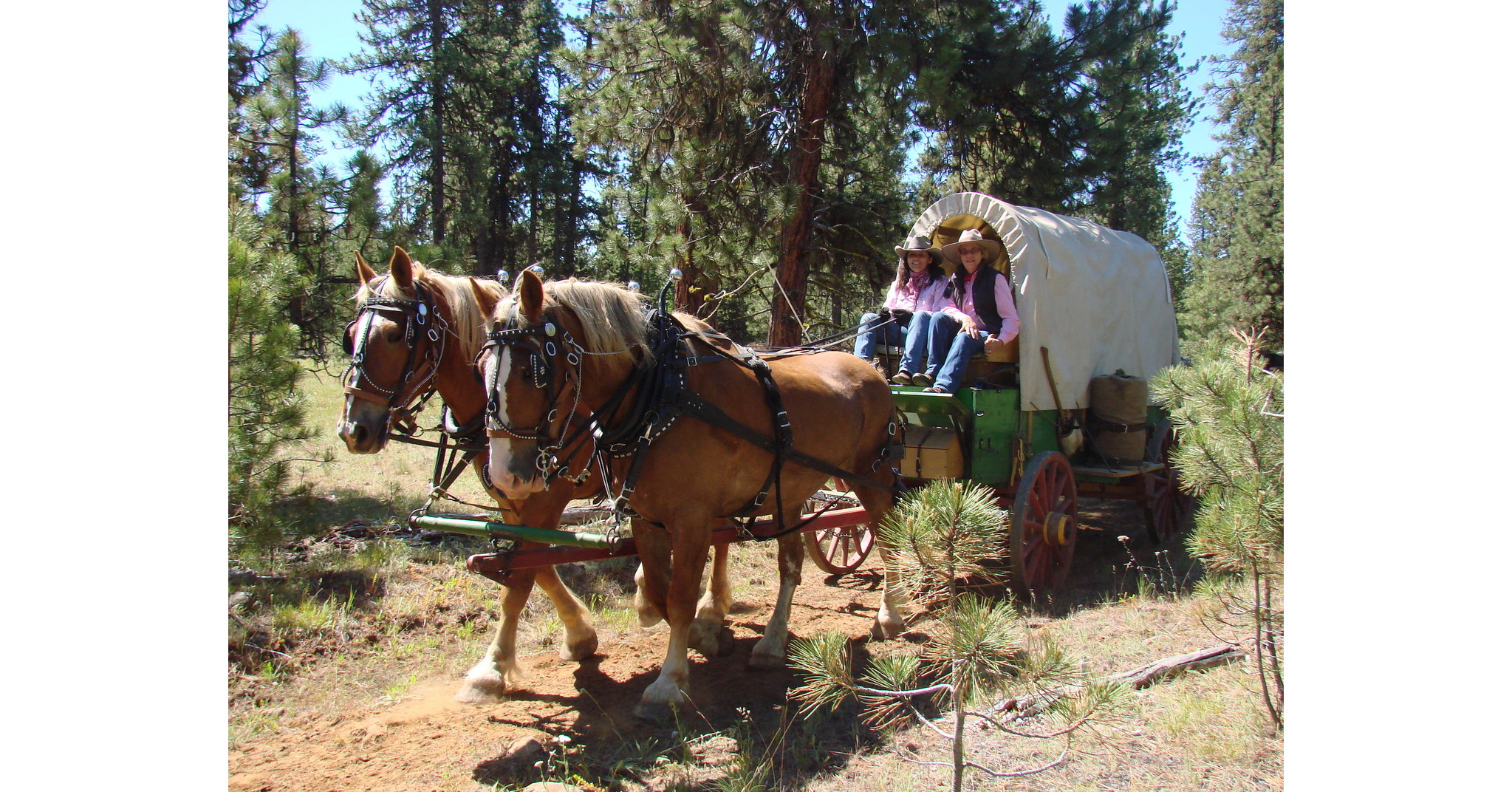 Wagons Ho! Take a Lyft on the Travel Oregon Trail