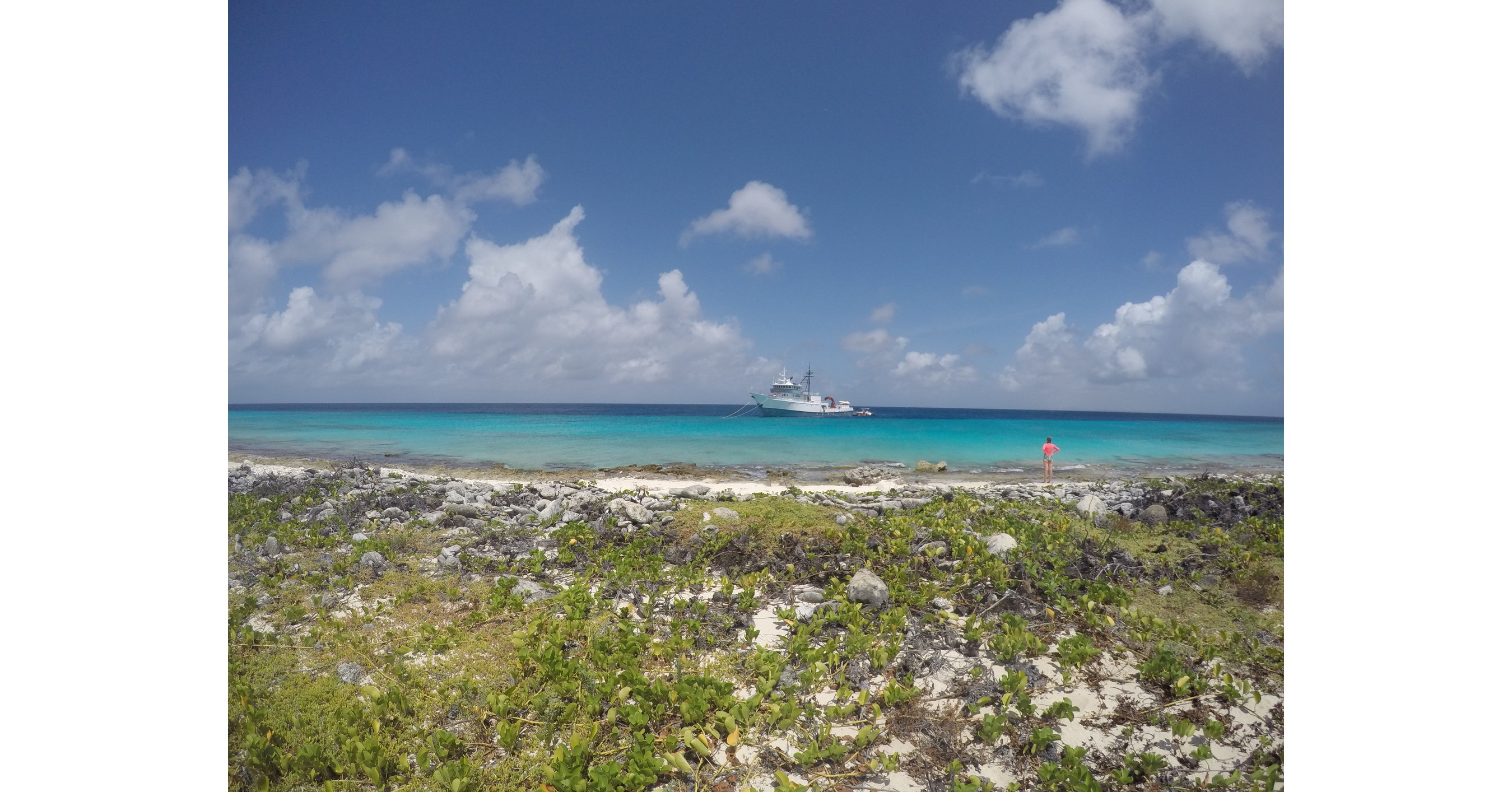 Uncharted Blue Expedition to Unlock Secrets of Deep Dutch Caribbean