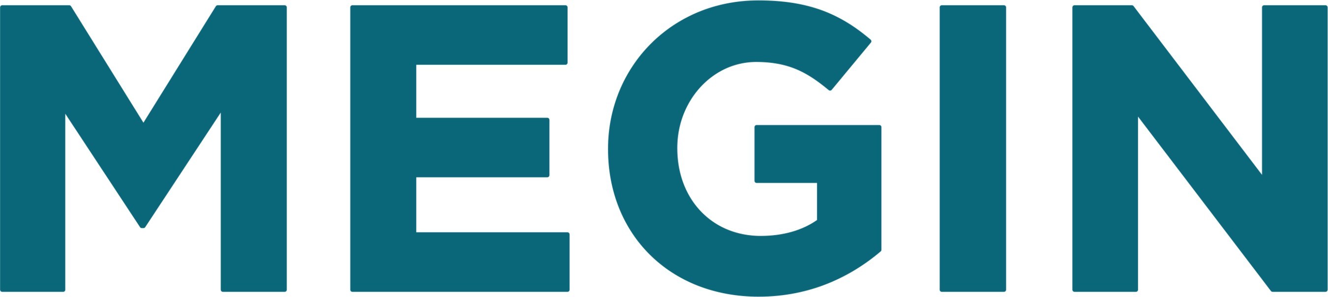 MEGIN CEO Janne Huhtala Speaks At Neuroscience-20 (N20)/G20 World Brain ...