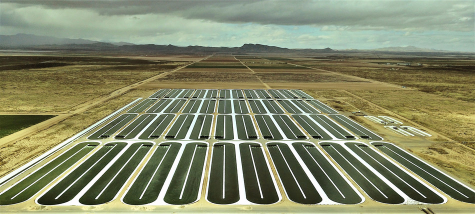 iWi® Expands to Sam's Club to Launch Algae-based Omega-3s Nationwide