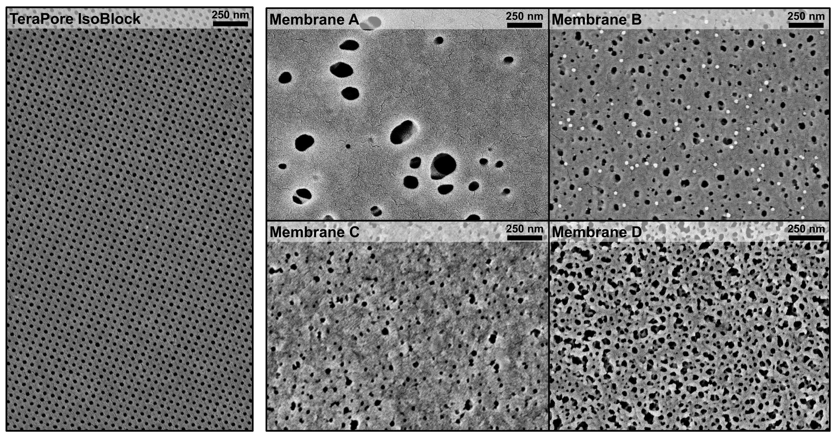 TeraPore Technologies Unveils New Nanofiltration Membrane Technology at ...