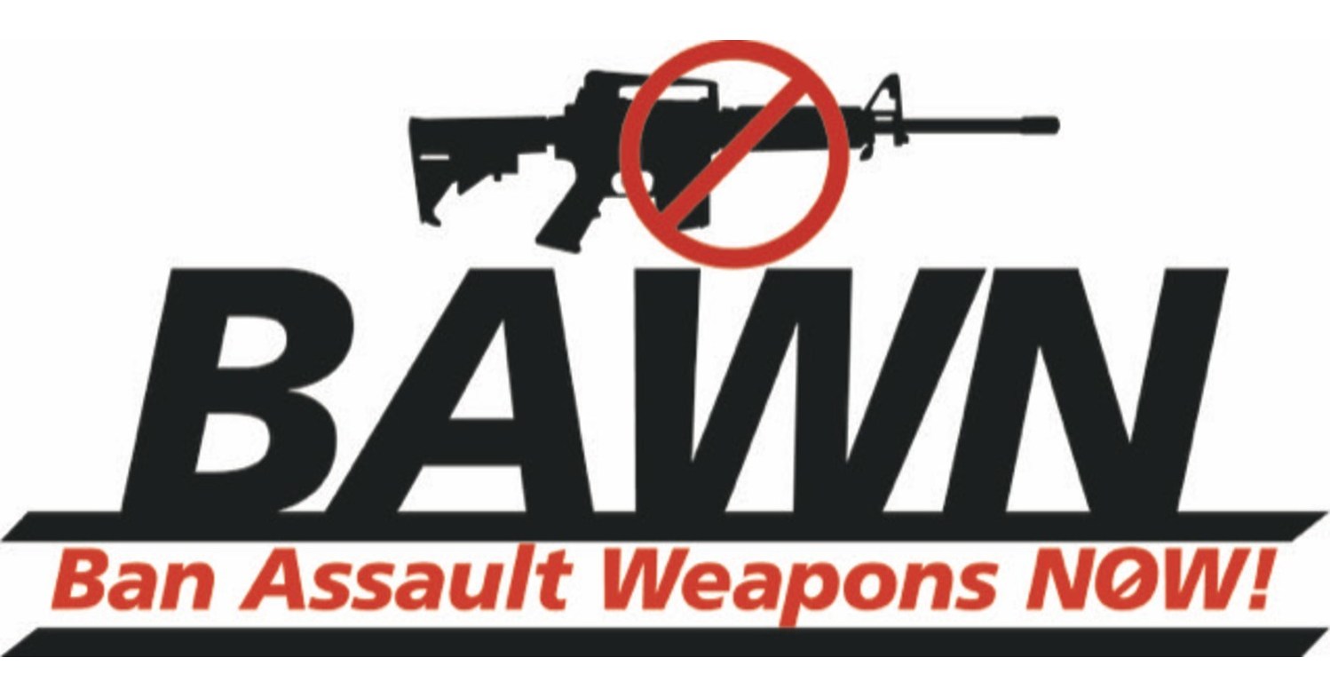Bi-Partisan Coalition Created to Ban Assault Weapons in Florida