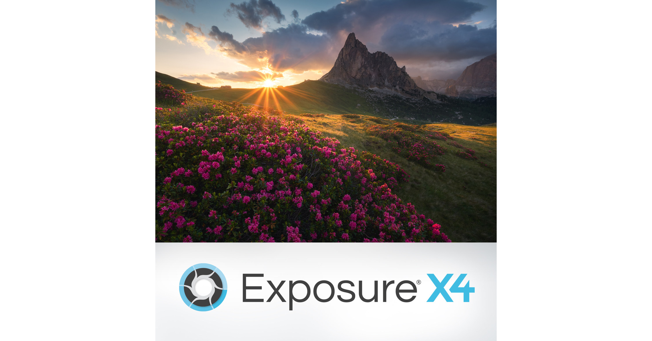 Alien Skin Software Announces Exposure X4, Advanced RAW Photo Editor ...