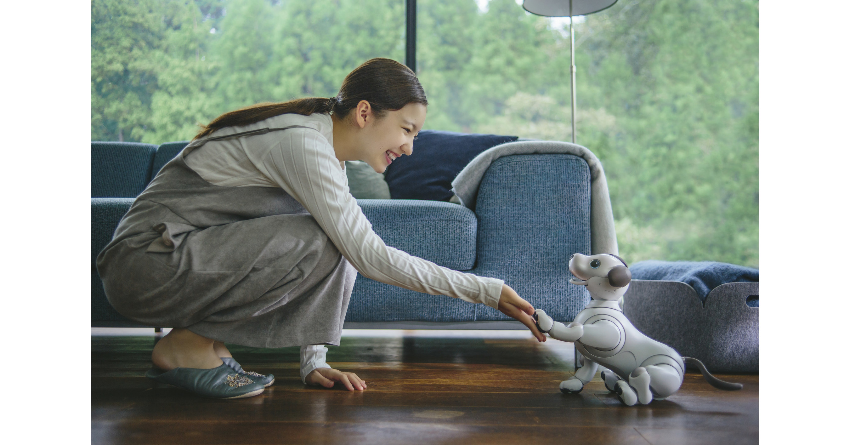 Sony's Limited First Litter Edition aibo is Now Available for Purchase ...