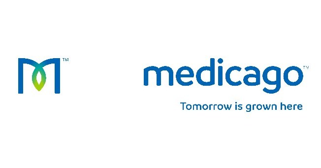 Medicago officially starts the construction of its site in Estimauville ...