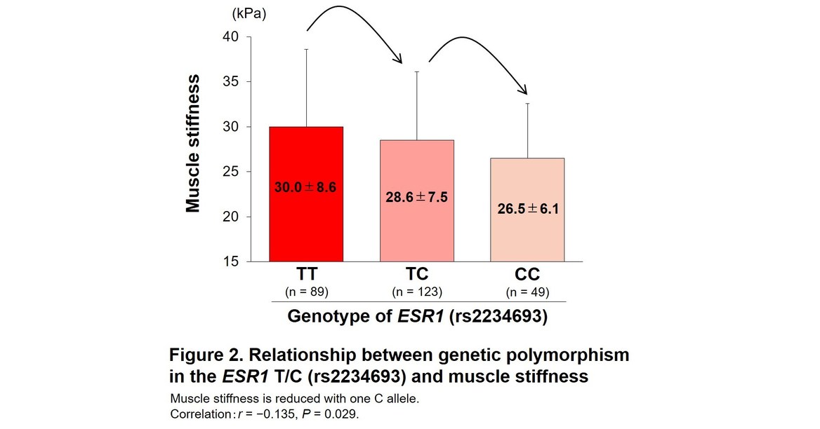 Juntendo University Research: The Genetics of Muscle Injuries