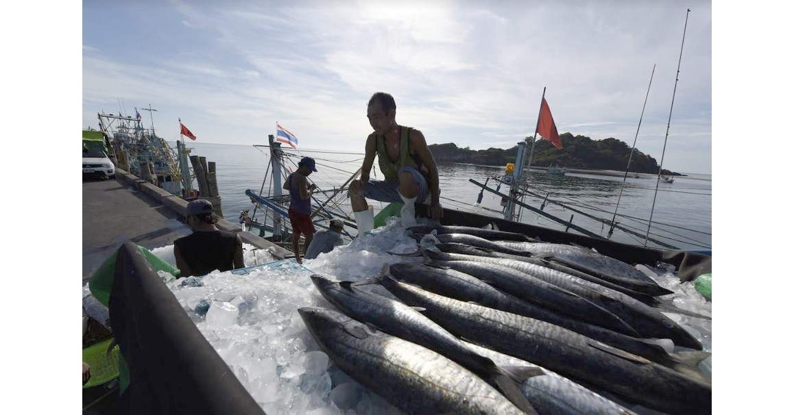 Significant Strides Made in Thailand's Battle against IUU Fishing