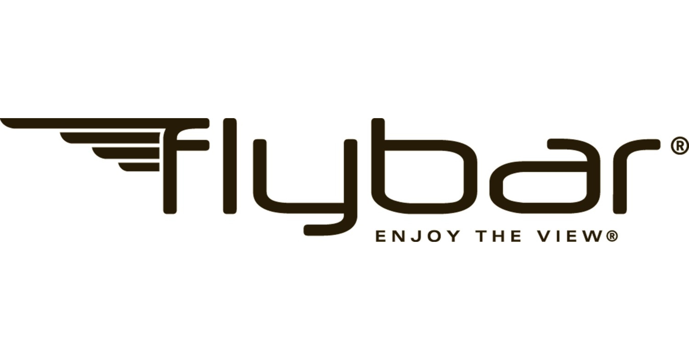 Give the Gift of Bounce This Holiday with Flybar Pogo Sticks and Trick ...