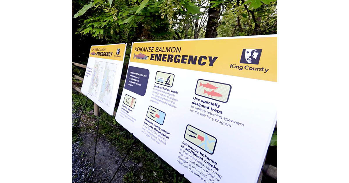 King County Awards Five-year Contract to Locally Owned Seattle Sign Shop