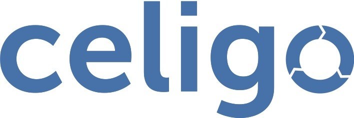 Celigo Partners with Big Bang ERP