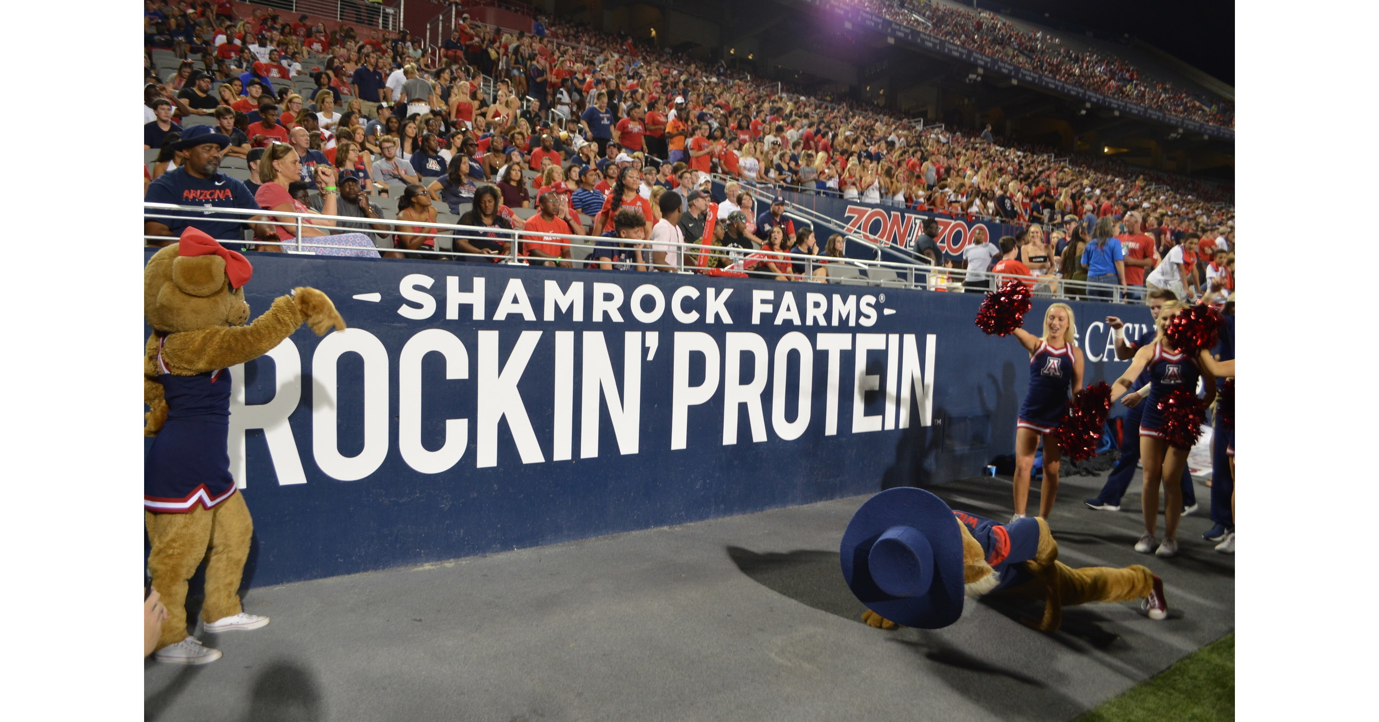 Shamrock Farms to Bear Down with Arizona Athletics