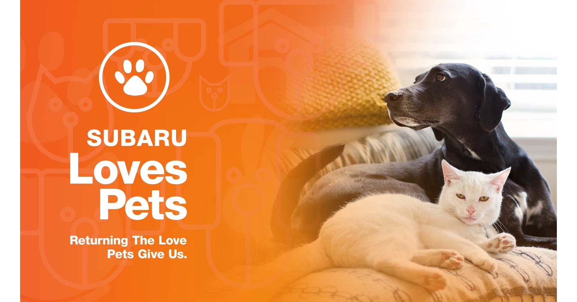 Subaru of America Helps Animals in Need During October "Subaru Loves ...