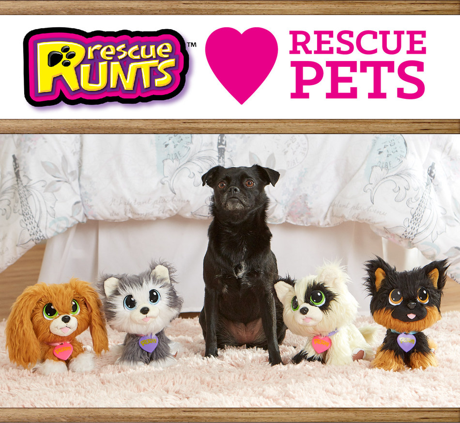 Rescue Runts Launches Weekly Donation Program to Pet Rescue ...