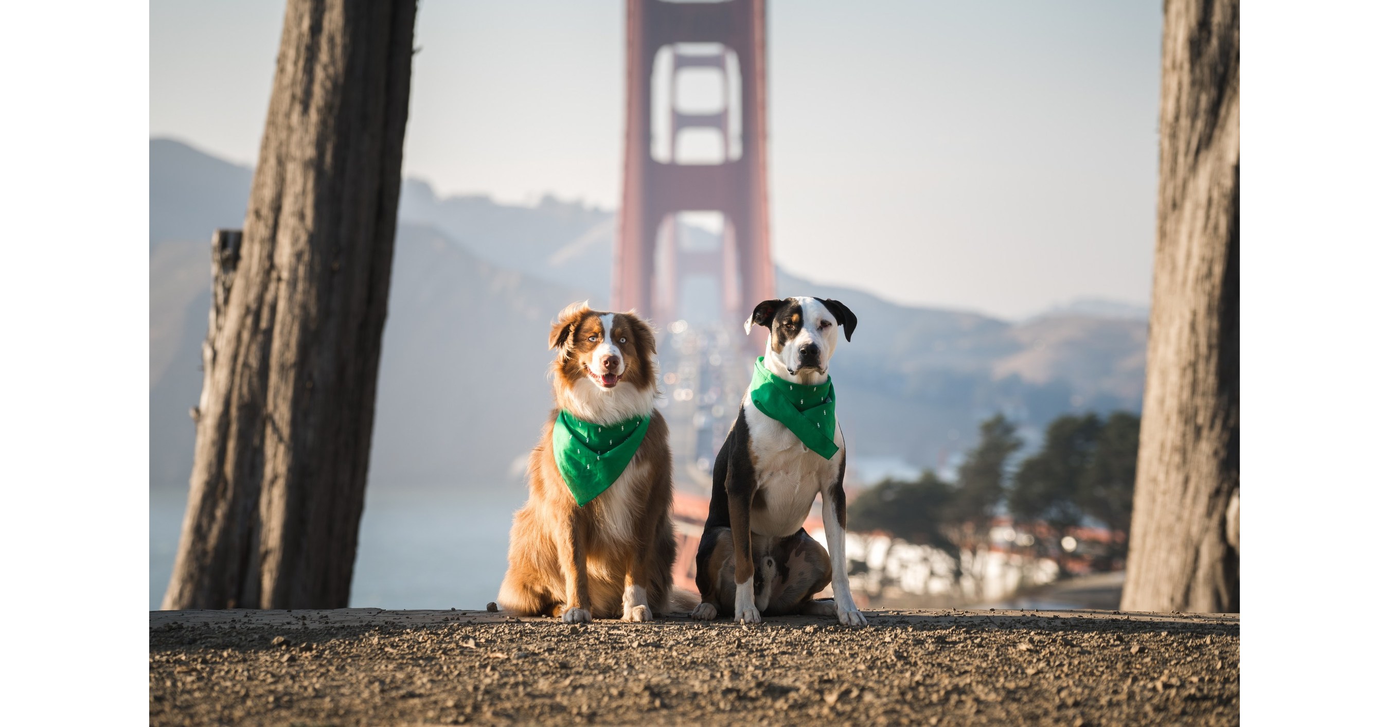 Healthy Spot Announces New Store Opening in San Francisco