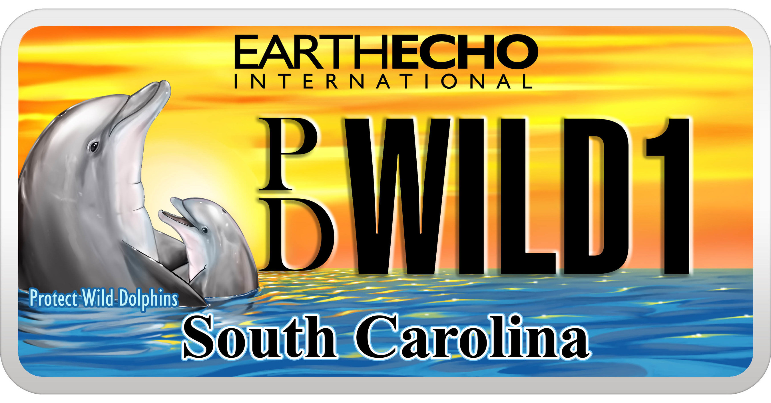 Colorful 'Protect Wild Dolphins' License Plate To Be Replaced By Decal ...