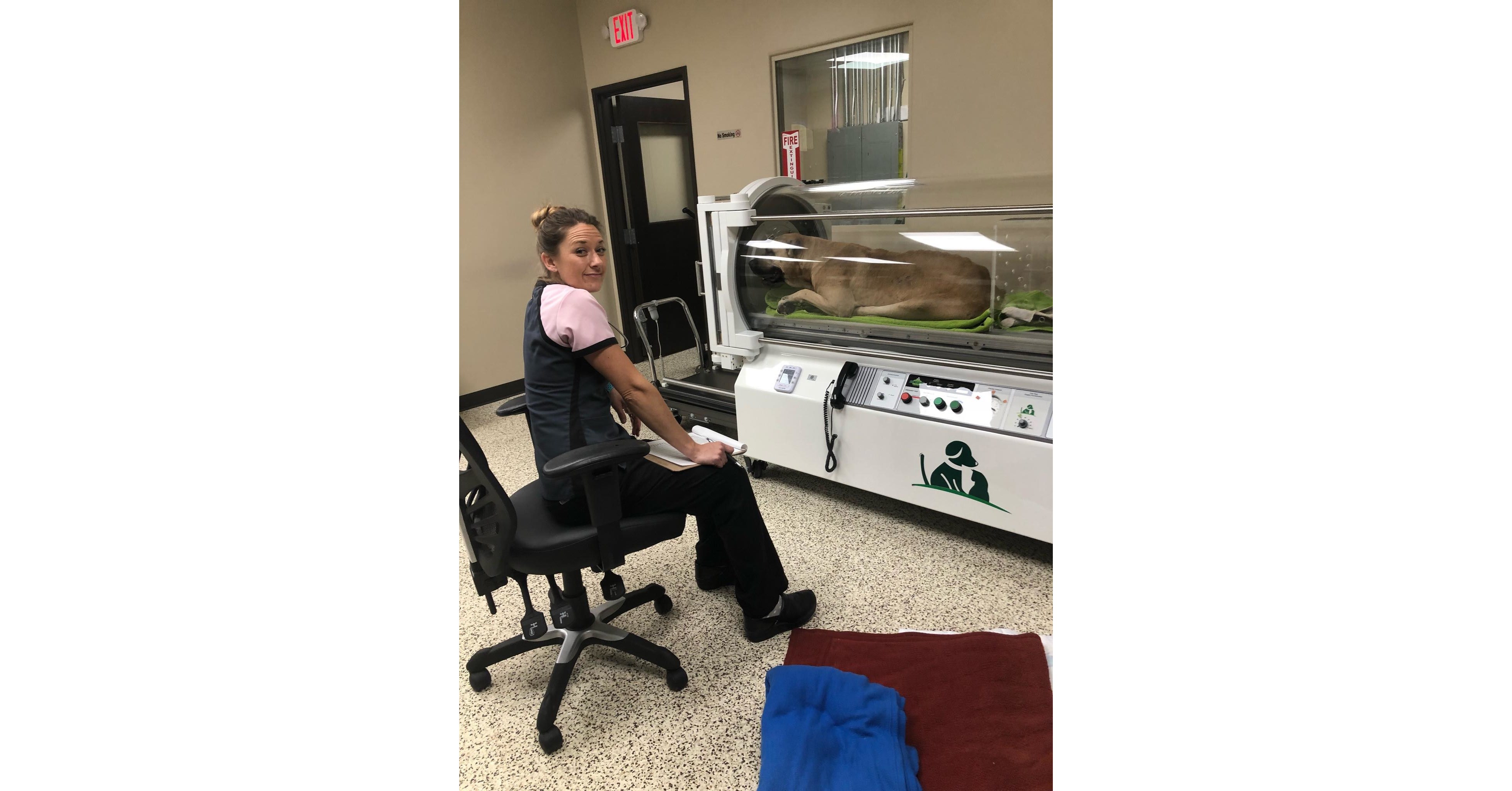 Sechrist Veterinary Hyperbaric Oxygen Chamber Helps Woodhaven Animal ...
