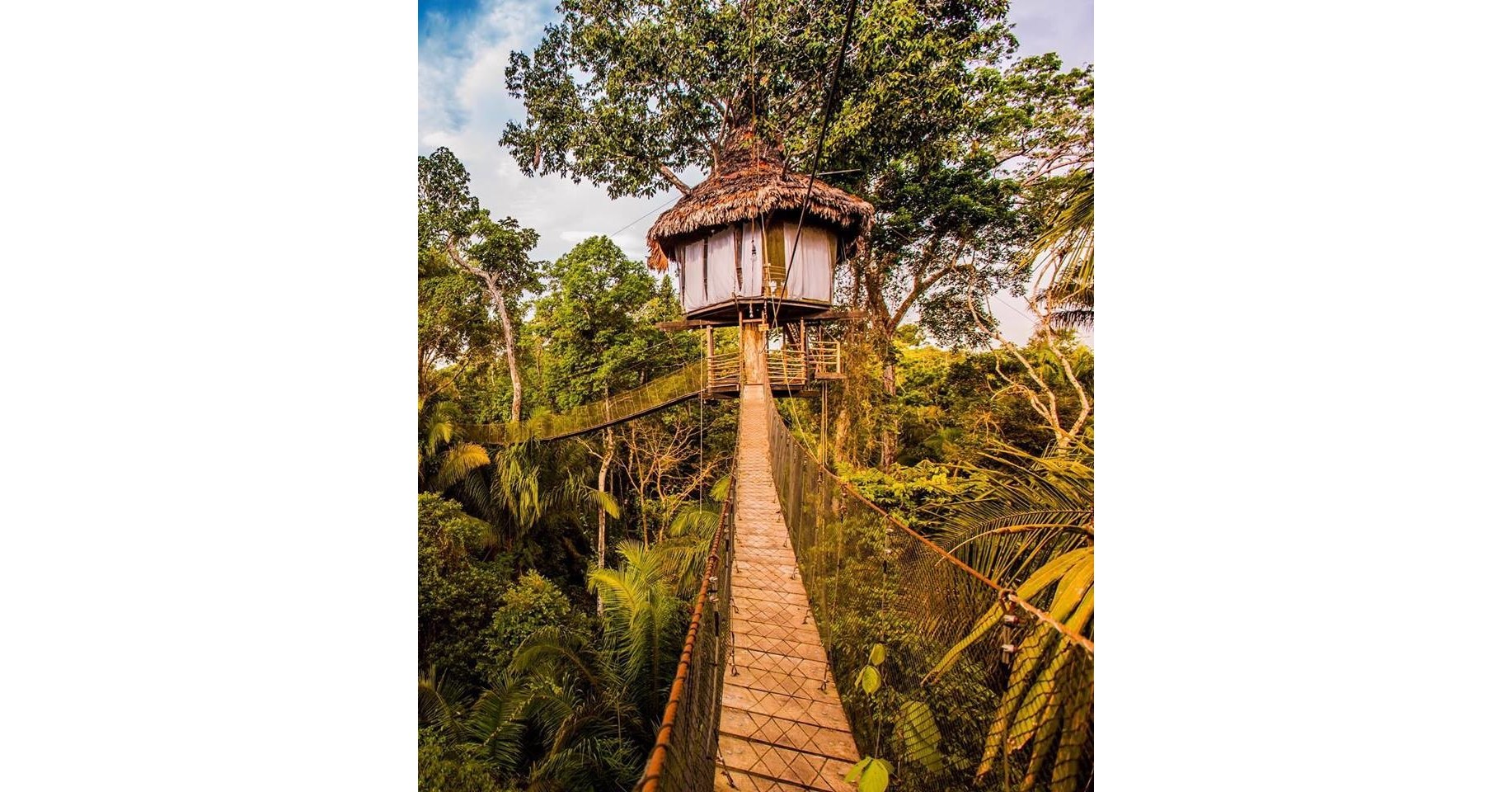 Rainforest Cruises Offers Luxury Bucket List Adventure Package ...