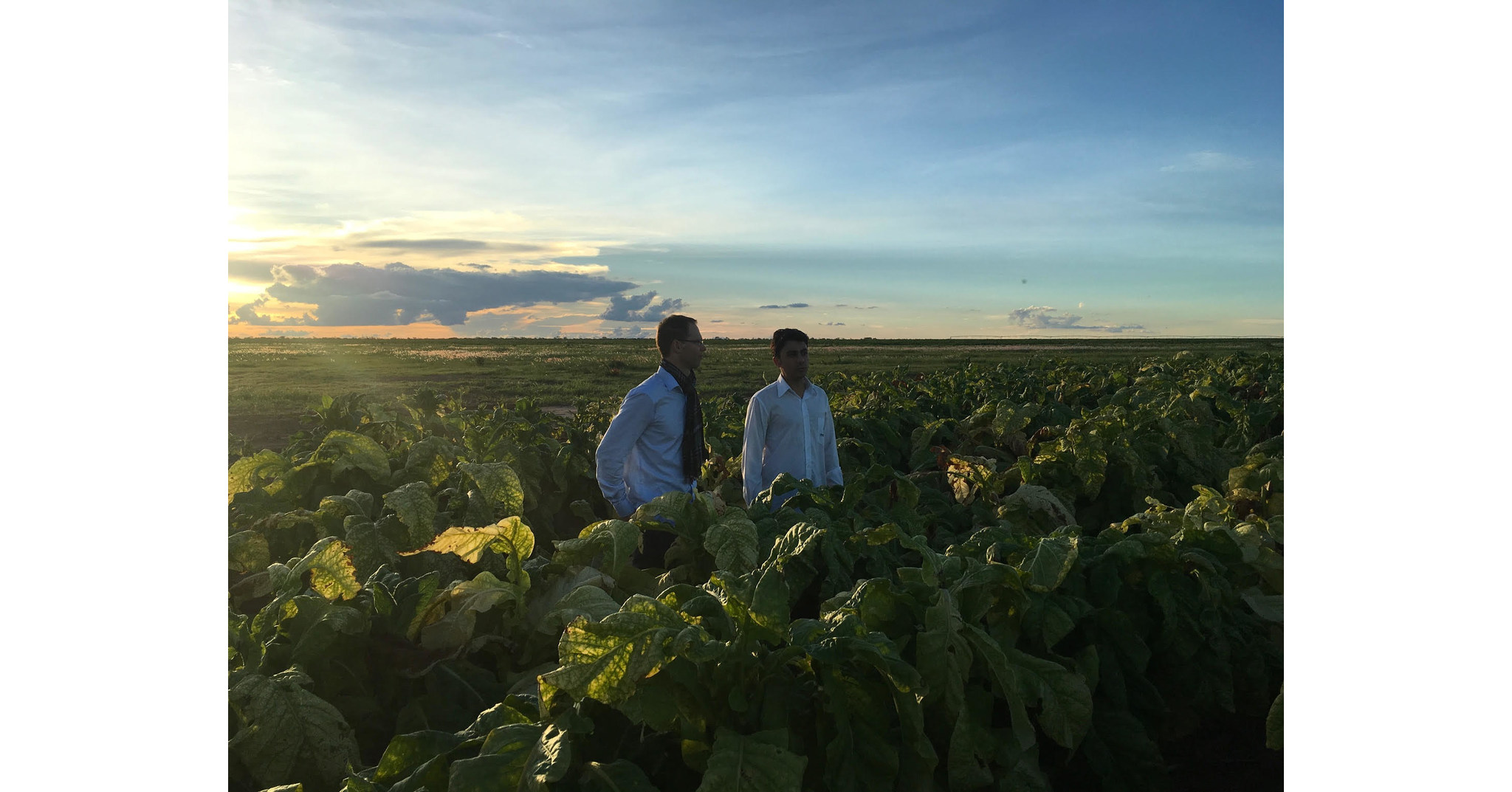 Gamaya Introduces Breakthrough Agronomic Intelligence Platform for ...