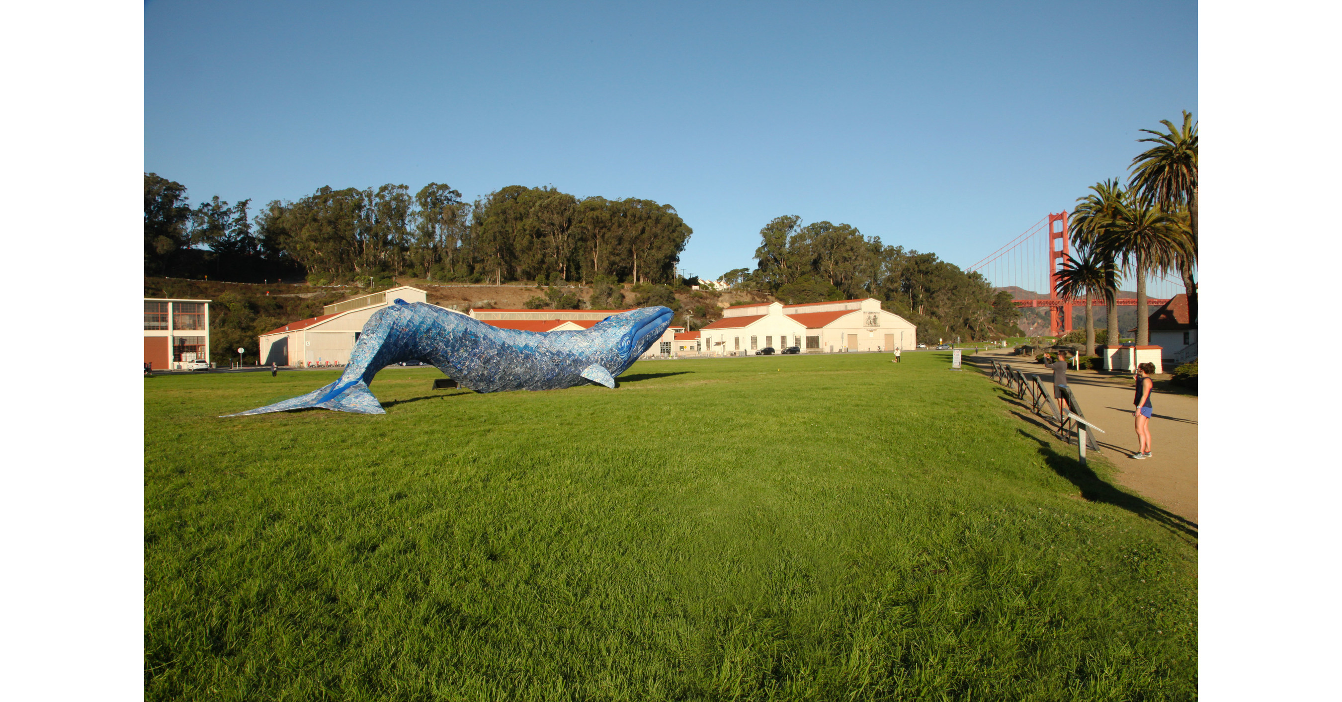 Monterey Bay Aquarium Builds Life-Sized Blue Whale Art Installation ...