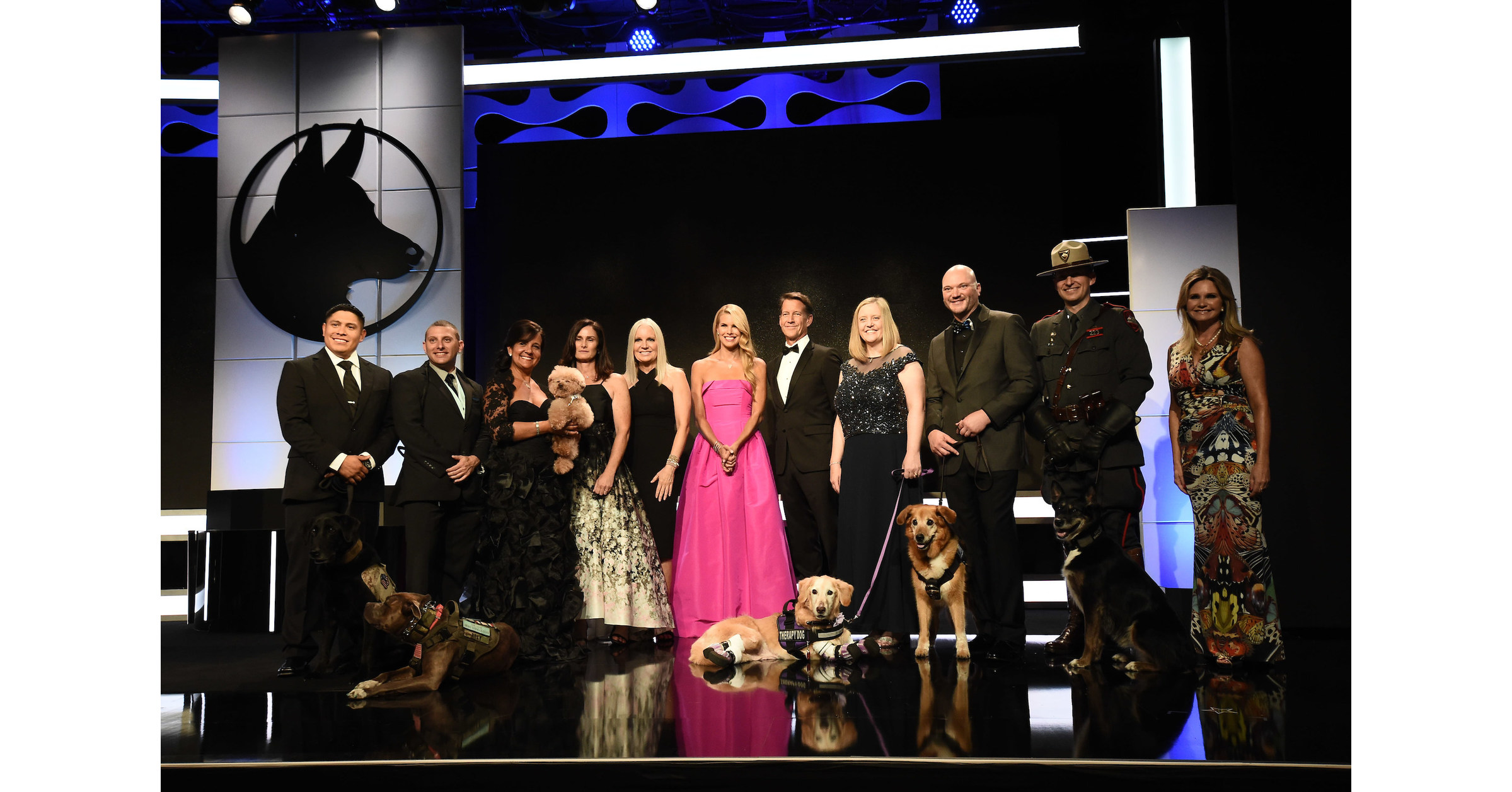 Tune-in alert: 2018 American Humane Hero Dog Awards®, Hosted by Beth ...