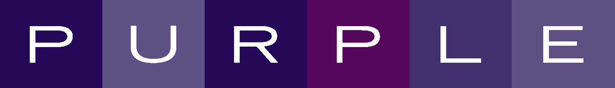 Purple Strategies Promotes Chris Durlak to Partner