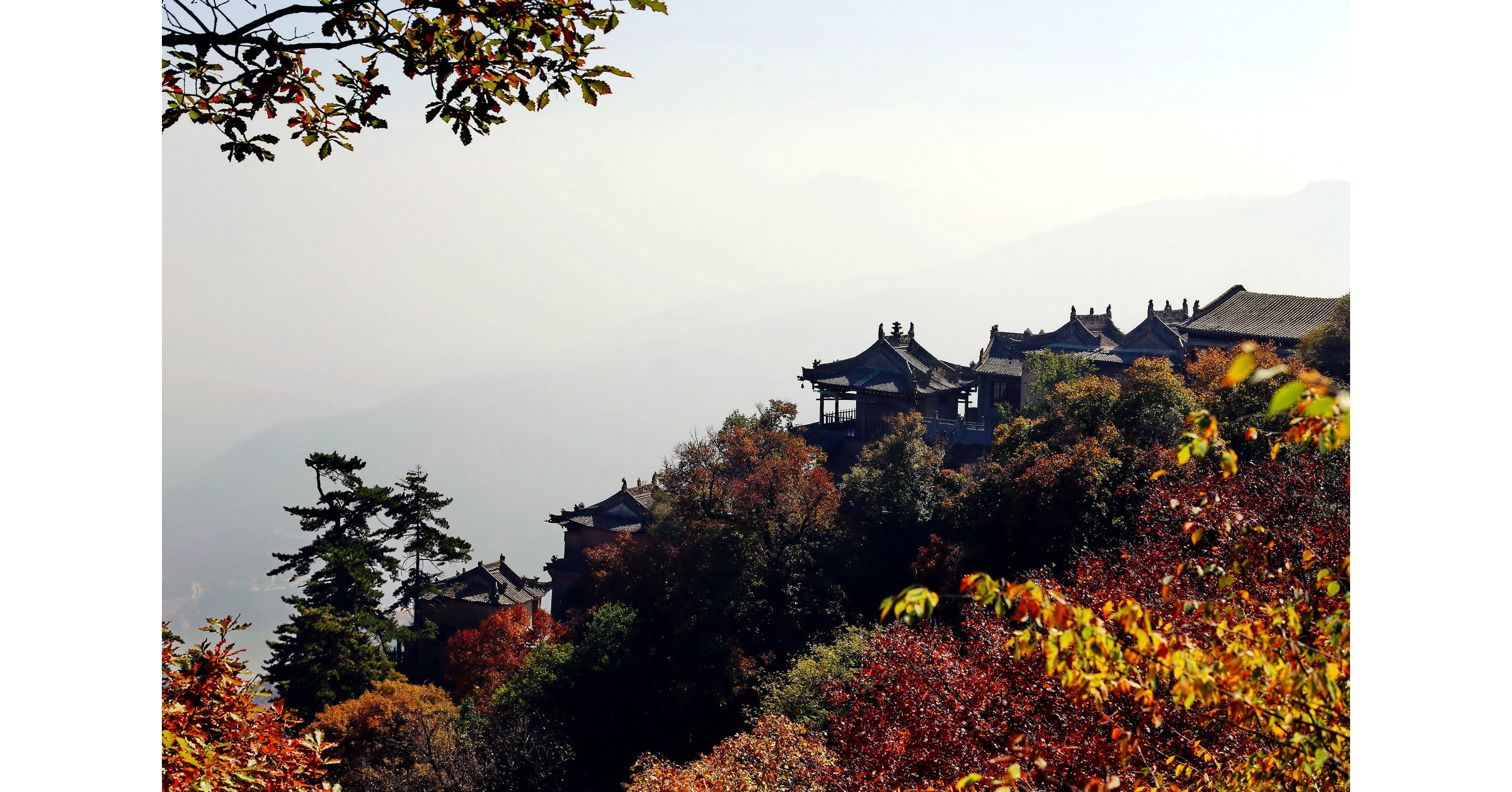 Gansu Pingliang seeks green growth via tourism, apples, cattle